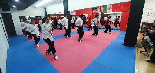 Bull Zhan Martial Arts Jeet Kune Do México Kung fu - Monterrey