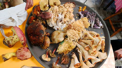 Chef David Jahnke Cooking Classes School - San Miguel de Allende