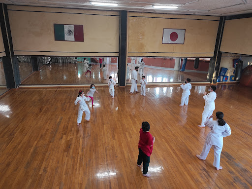 Karate Goyu Ryu Internacional - Morelia